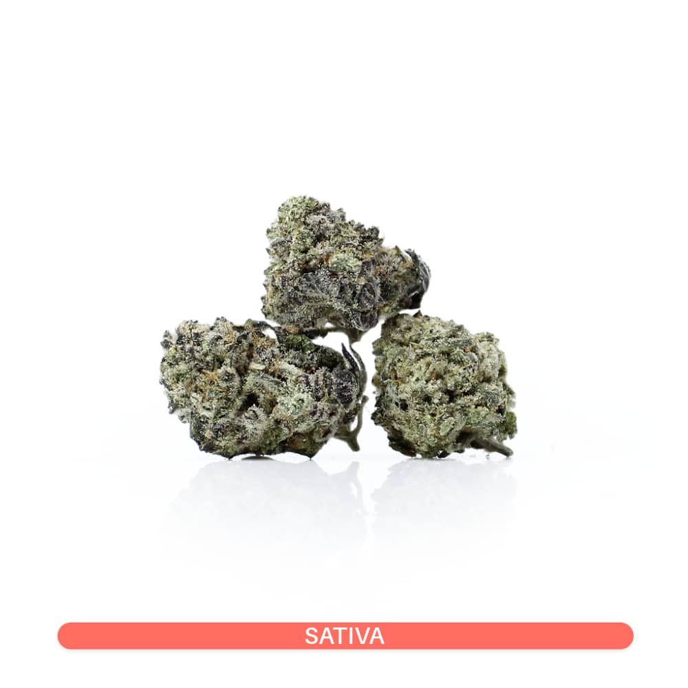 Sativa Diva's Forbidden Fruit - Buy Cheap Ounces Online